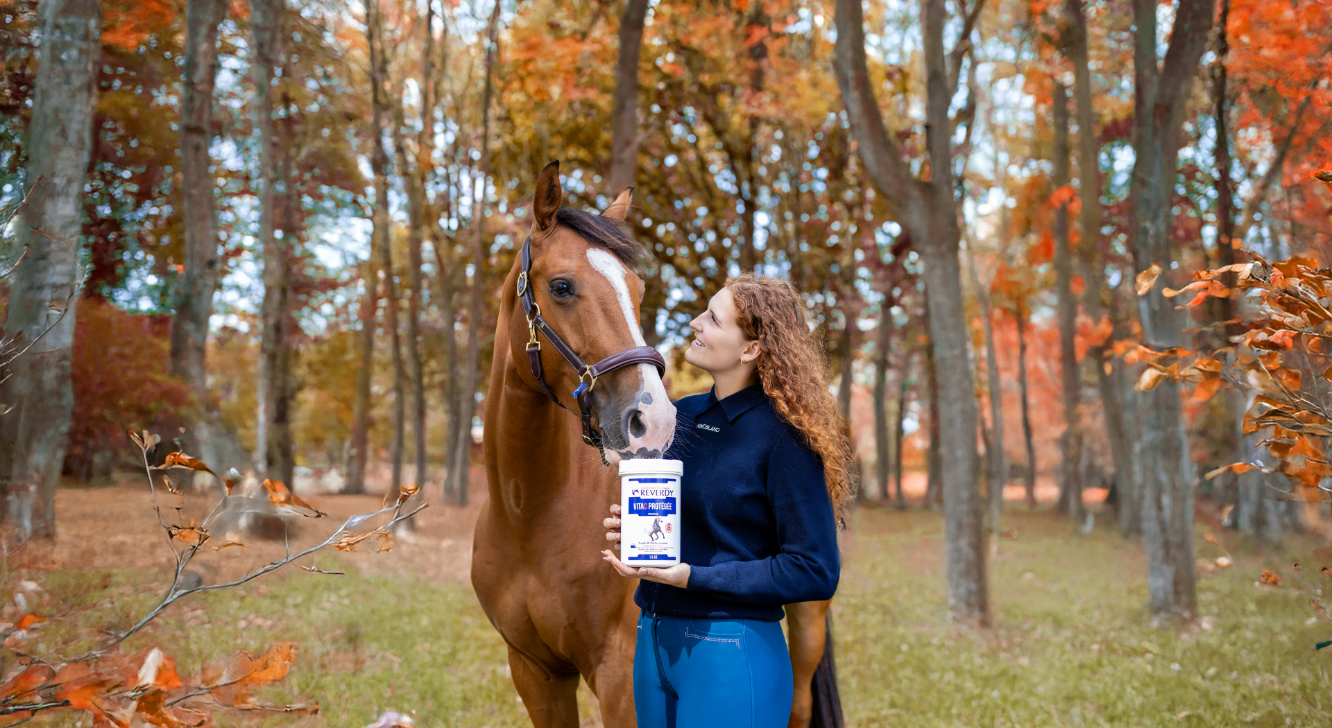 Everything for the well-being of your horse 🐎 – Equicom